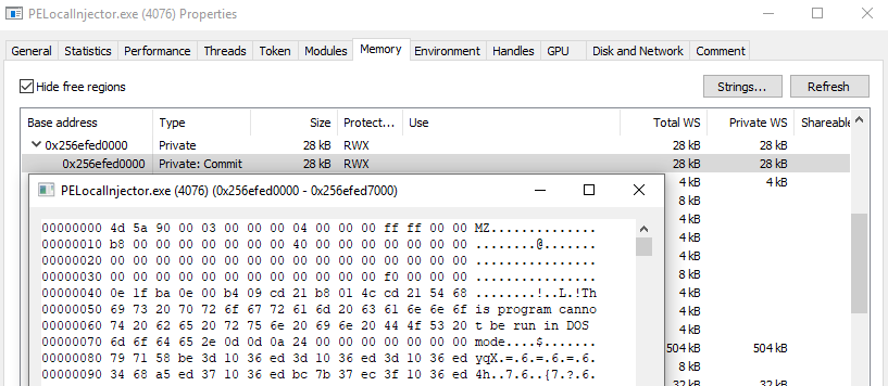 Local Portable Executable Injection